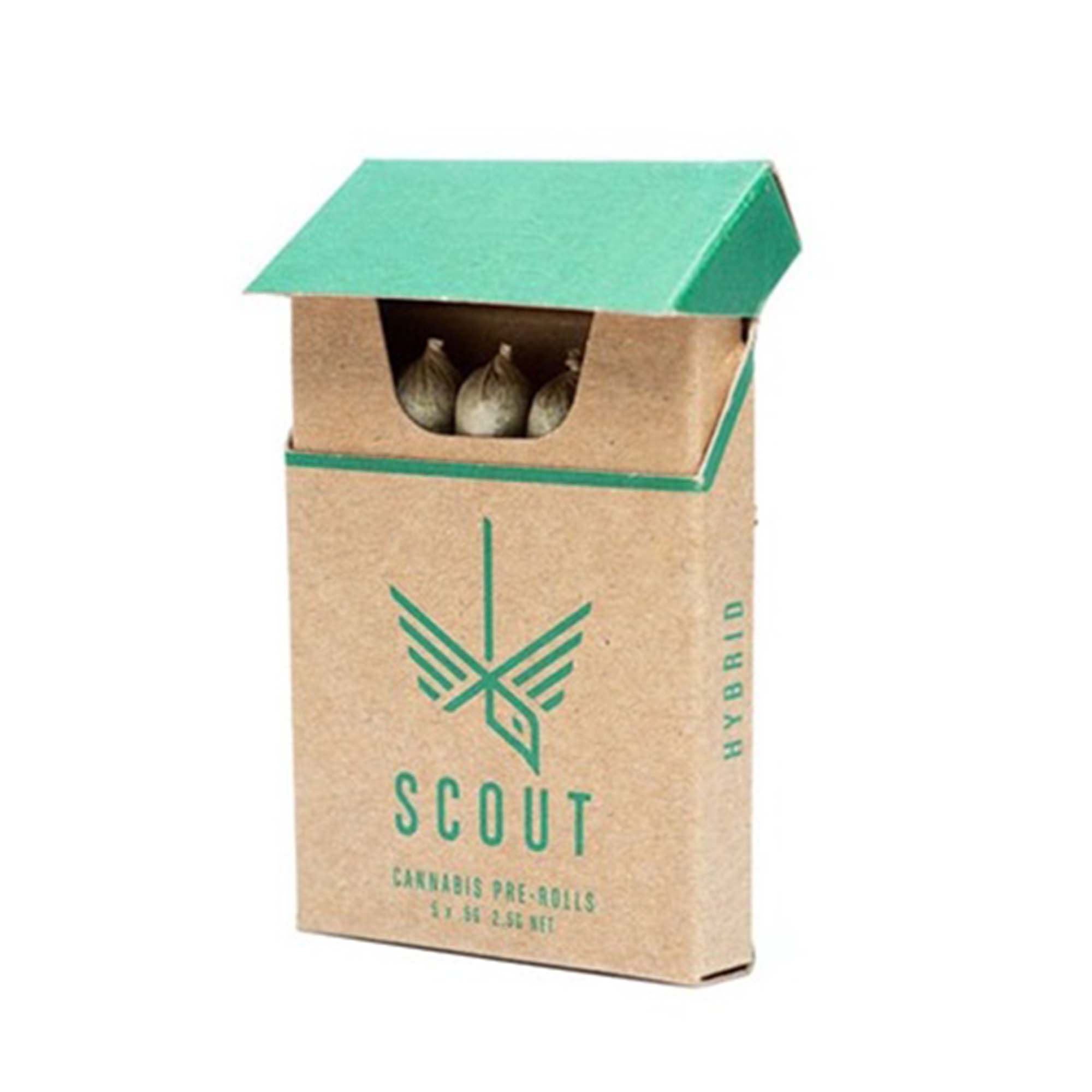 China 20 Cigarette Case Pack Flip Top Green Cigarette Pack Manufacturer ...